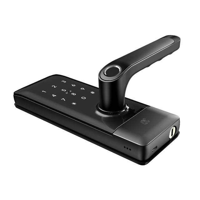 5-in-1 Smart Door Lock Handle/Lever with Bluetooth Code Fingerprint ...